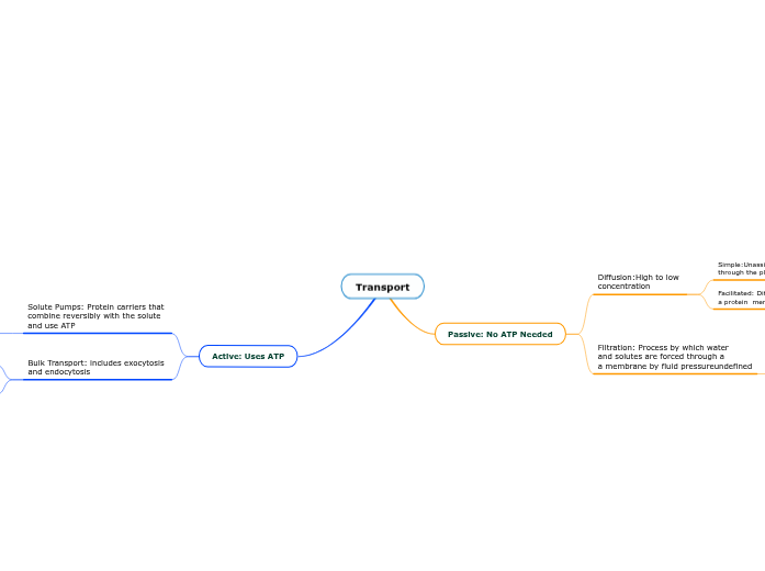 Transport - Mind Map